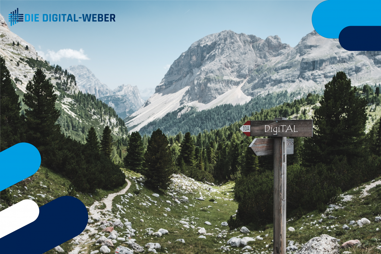 Named vs. Concurrent Lizenzen: Wann ist welches Modell besser? - DIE ...