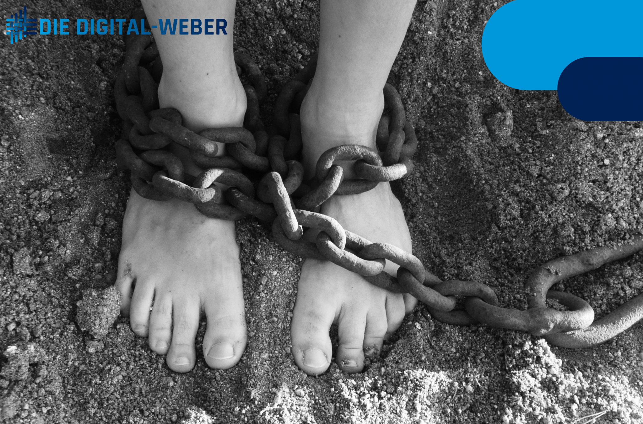 Named vs. Concurrent Lizenzen: Wann ist welches Modell besser? - DIE ...